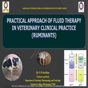 PRACTICAL APPROACH OF FLUID THERAPY IN VETERINARY CLINICAL PRACTICE IN ...