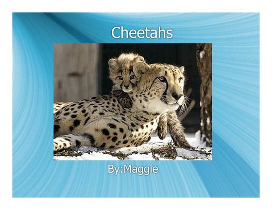 Cheetah powerpoint | PPTX | Reptiles | Pets