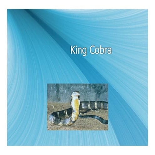 5 G King Cobra | PDF