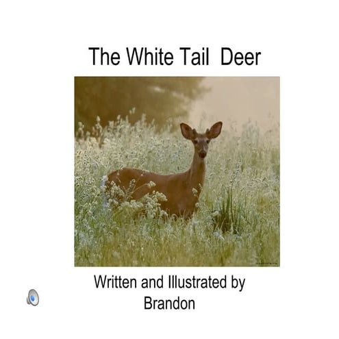 The White Tailed Deer | PPTX