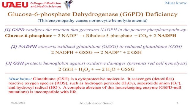 G6PD Deficiency Causes, Symptoms, Drugs To Avoid G6PD, 47% OFF