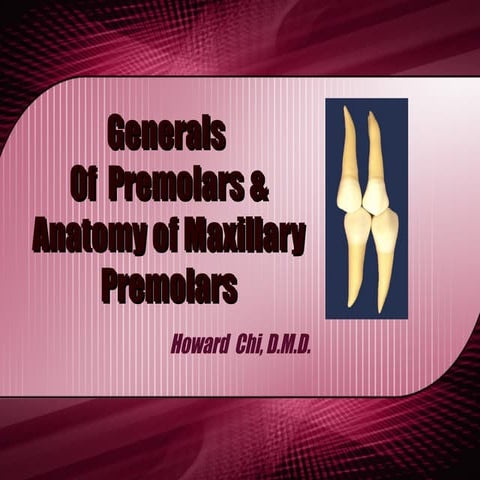 Permanent Maxillary 1st premolar | PPTX