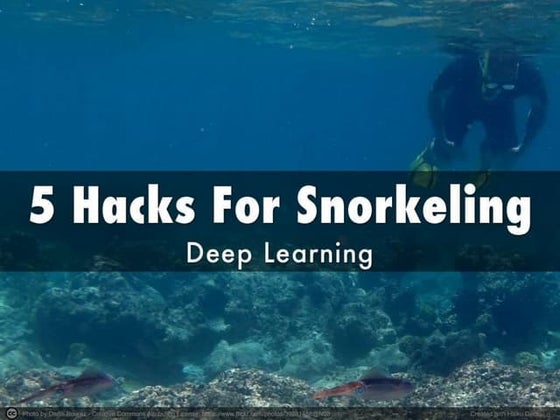The Basics of Snorkeling | PPTX