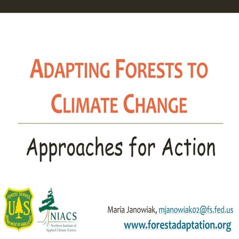Forest Adaptation | PPTX
