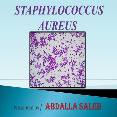 Staphylococcus aureus | PPT | Blood Disorders | Diseases and Conditions