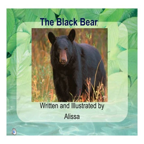 5kl Black Bear | PPT
