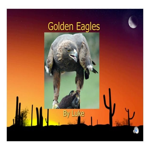 5KL Golden Eagle | PDF