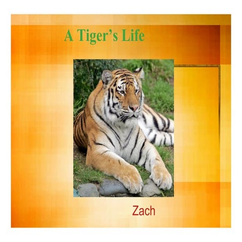 Life Cycle of a Tiger Nathan........pptx