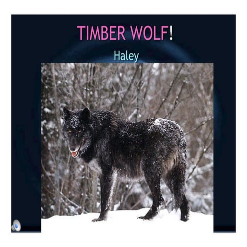 5kl Timber Wolf | PDF