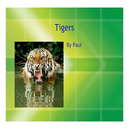 Life Cycle of a Tiger Nathan........pptx