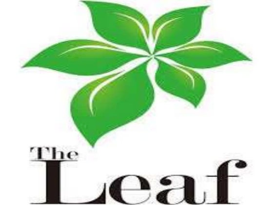 Shapes of plant leaf | PDF
