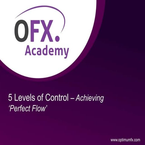 5 Levels of Control | PPTX