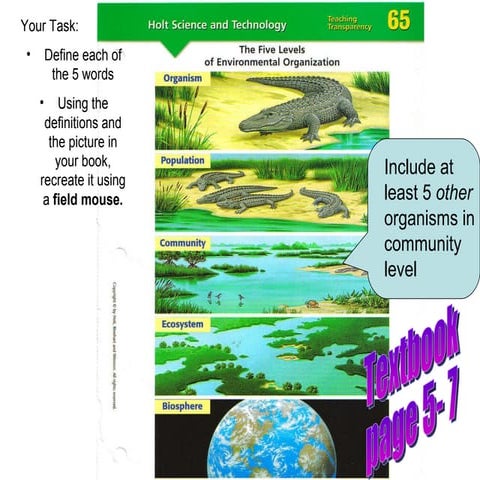 5 Levels Of Environmental Organization | PPT | Environmental Services ...