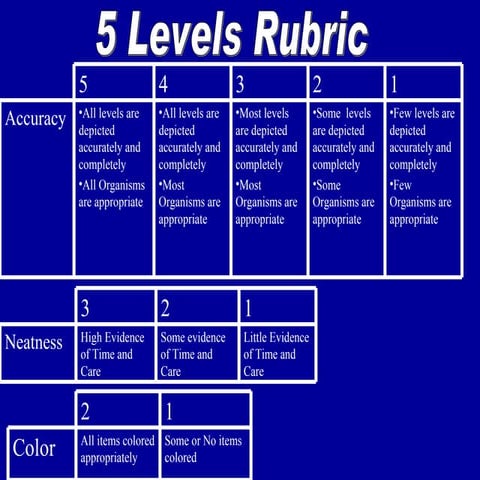 5 Levels Of Organization Rubric | PPT