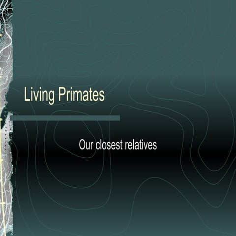Living Primates - Introduction to Anthropology | PPT