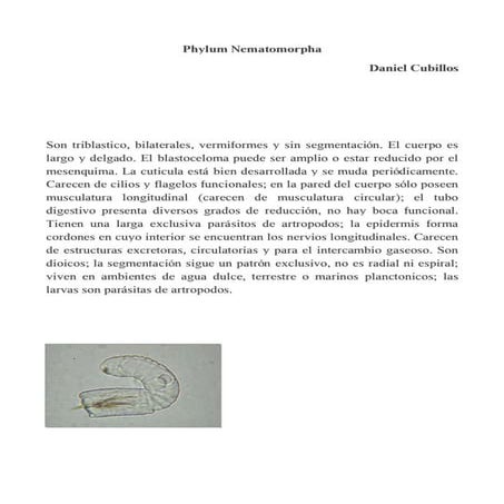 Nematomorpha | PDF