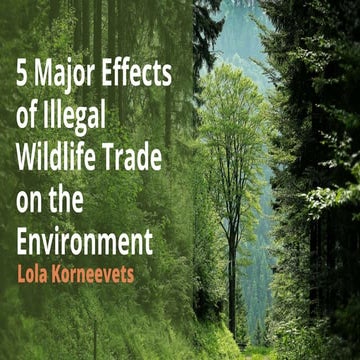 5 Major Effects of Illegal Wildlife Trade on the Environment - Lola ...