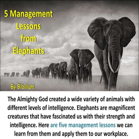 5 Management Lessons From Elephants | PPT