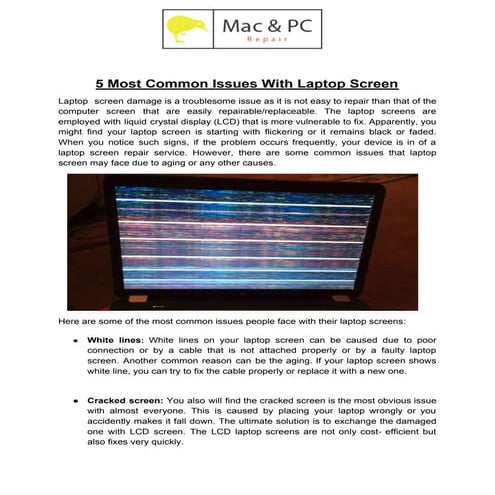 5 most common issues with laptop screen | PDF