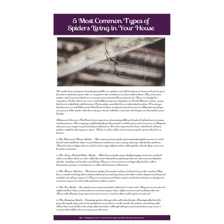 5 Most Common Types of Spiders Living in Your House | PDF