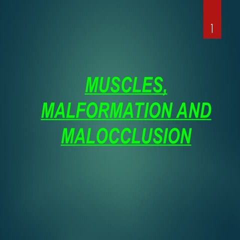Muscles,Malformation And Malocclusion.ppt