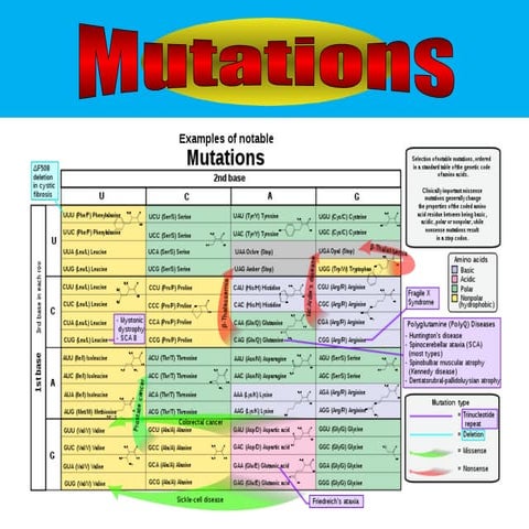Genetic Mutations | PPT
