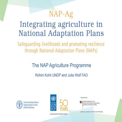 The NAP Agriculture Programme | PPT