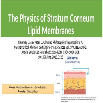The Physics of Stratum Corneum Lipid Membranes | PPTX