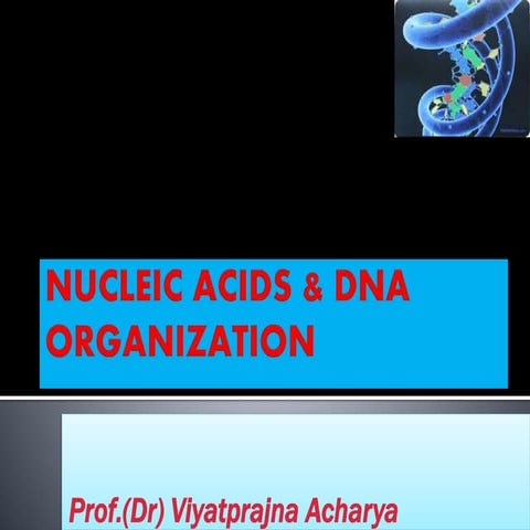 5 Nucleic acids & DNA organization-I | PPT