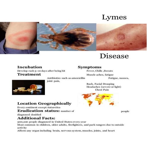 Lymes disease | DOCX