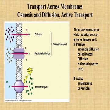 5 Osmosis and Diffusion and Bulk flow tp | PPTX