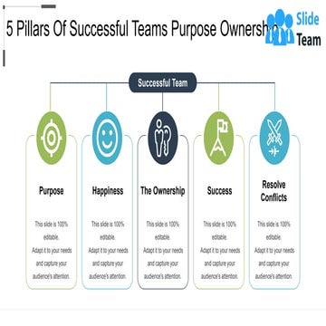 5 Pillars Of Successful Teams Purpose Ownership | PDF