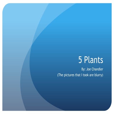 5 plants | PPT