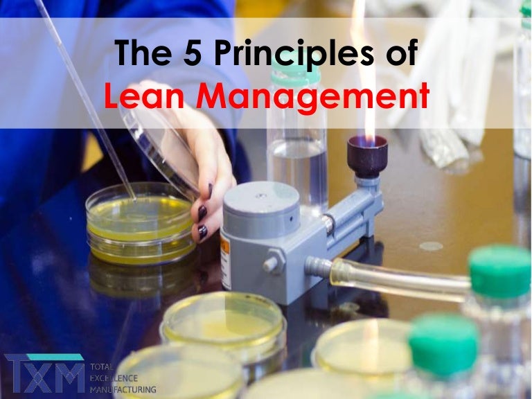 5 Principles of Lean Management Each Business Must Know