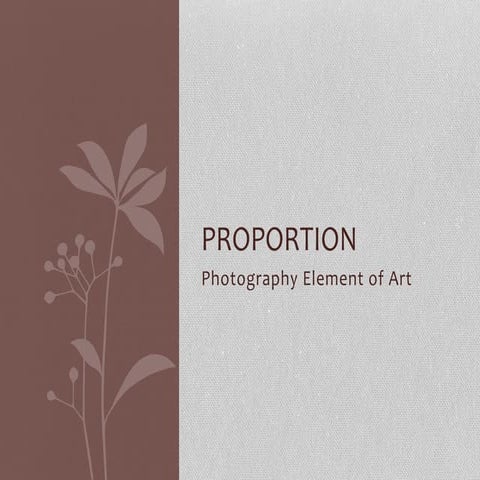 Proportion in photography-6word memoir | PDF | Photography | Arts and ...