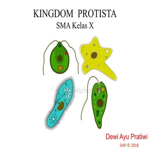 Kingdom Protista | PPTX