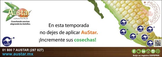 AuStar Mexico | PDF