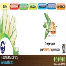 AuStar Mexico | PDF