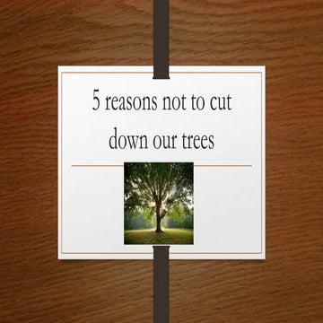 5 reasons not to cut down our trees | PPTX