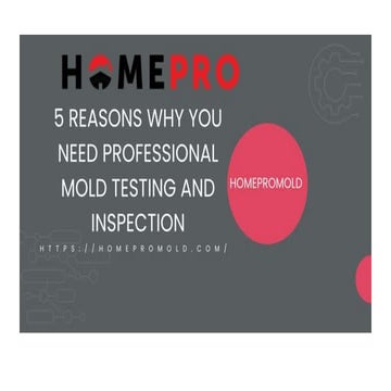 5 Reasons Why You Need Professional Mold Testing And inspection | PPT