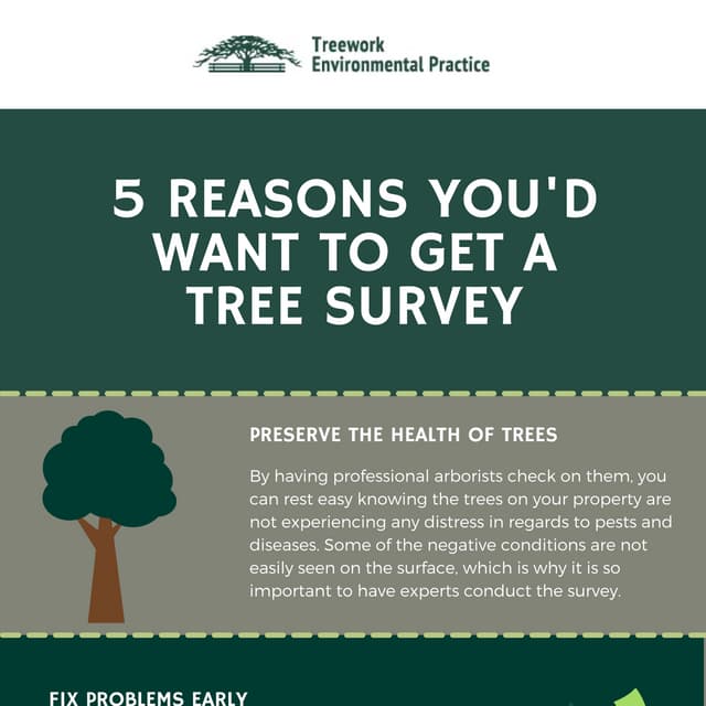 Everything You Need to Know About Tree Surveys.pdf