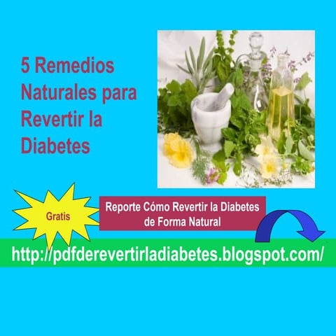PLANTAS PARA LA DIABETES | PDF