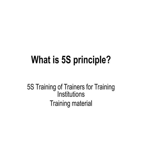 Practice of 5S in Automobile Company.pdf
