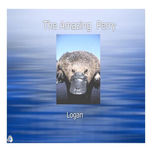 5 S Platypus | PDF