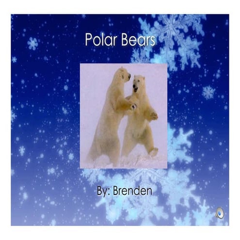 Polar bear ppt | PPT