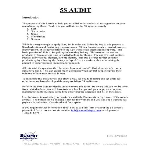 5 s audit | PDF