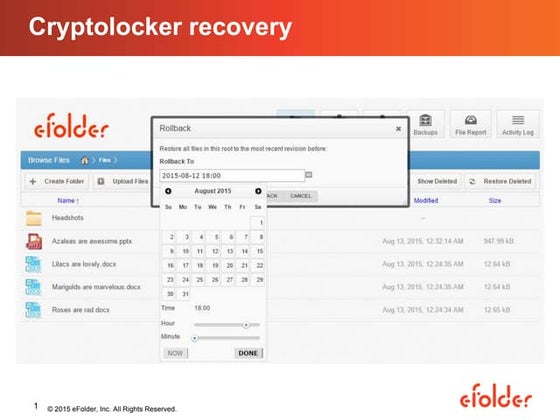DigiLocker-presentation | PPTX | Technology & Computing