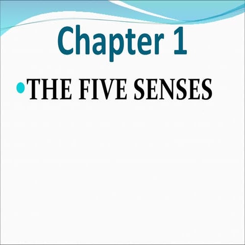 5 sense | PPT