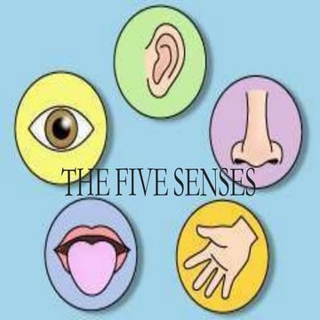 5senses.pptx