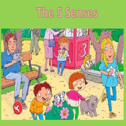 5 Senses | PPTX